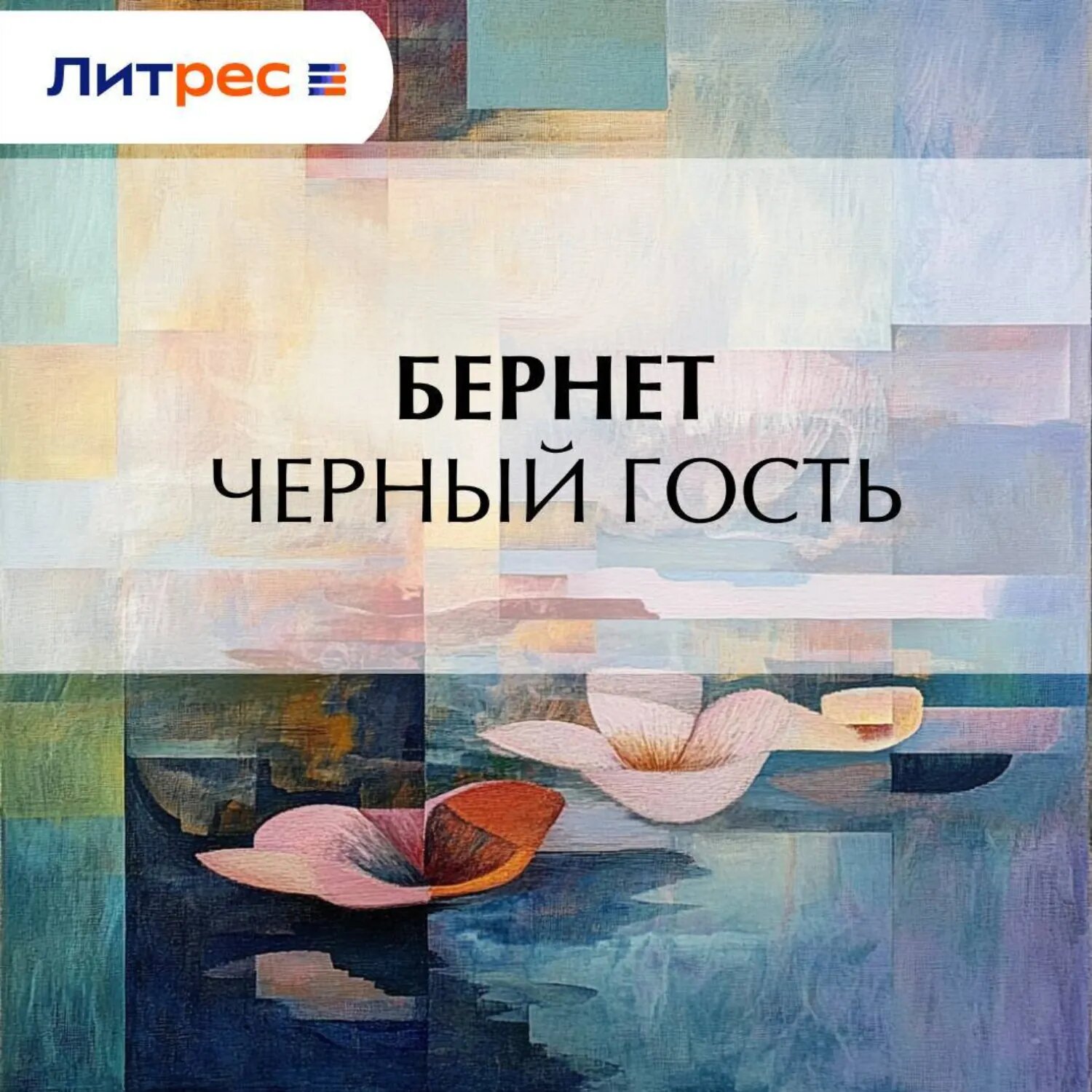 Черный гость [Аудиокнига]