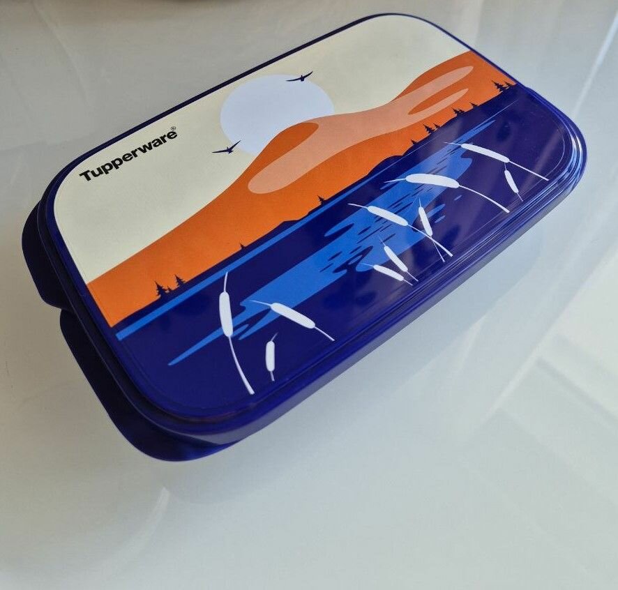 Контейнер с разделителем "Восход" 590мл, Tupperware