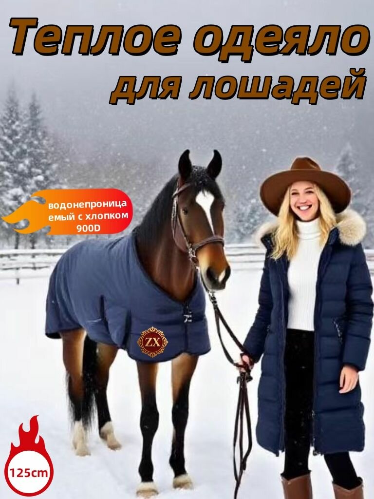 Попона для лошади