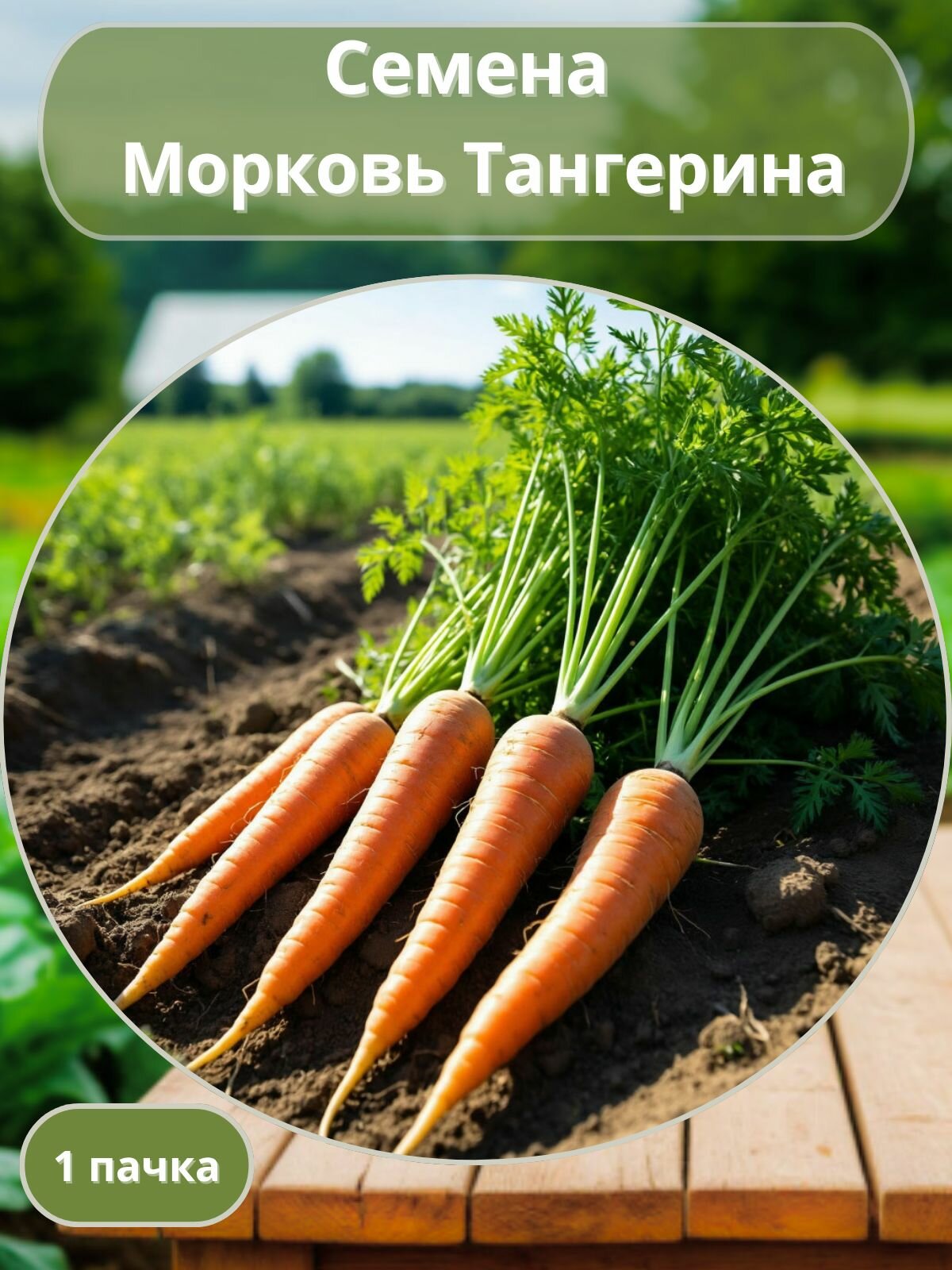 Морковь Тангерина, семена 10 шт