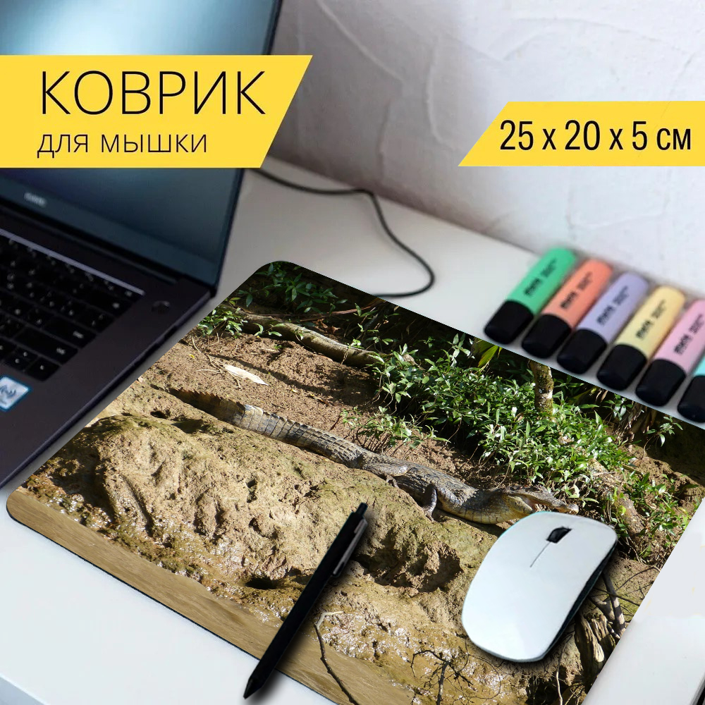 Коврик для мыши с принтом "Кайман, рептилия, животное" 25x20см.