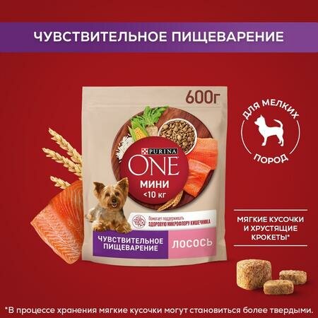 Purina ONE мини 2 шт по 600 г сухой корм для взрослых собак мелких пород с чувствительным пищеварением, с лососем и рисом