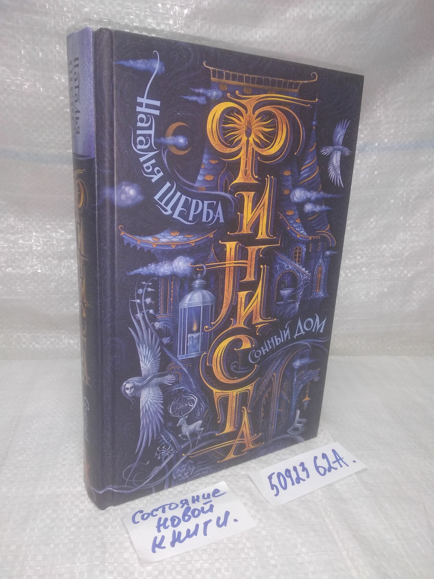 Финиста. Сонный дом. Фэнтези для детей и подростков 12+ Щерба Наталья Васильевна