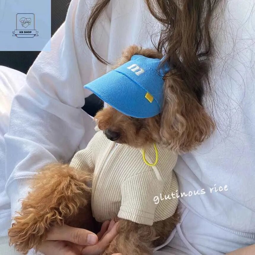 Кепка для собак