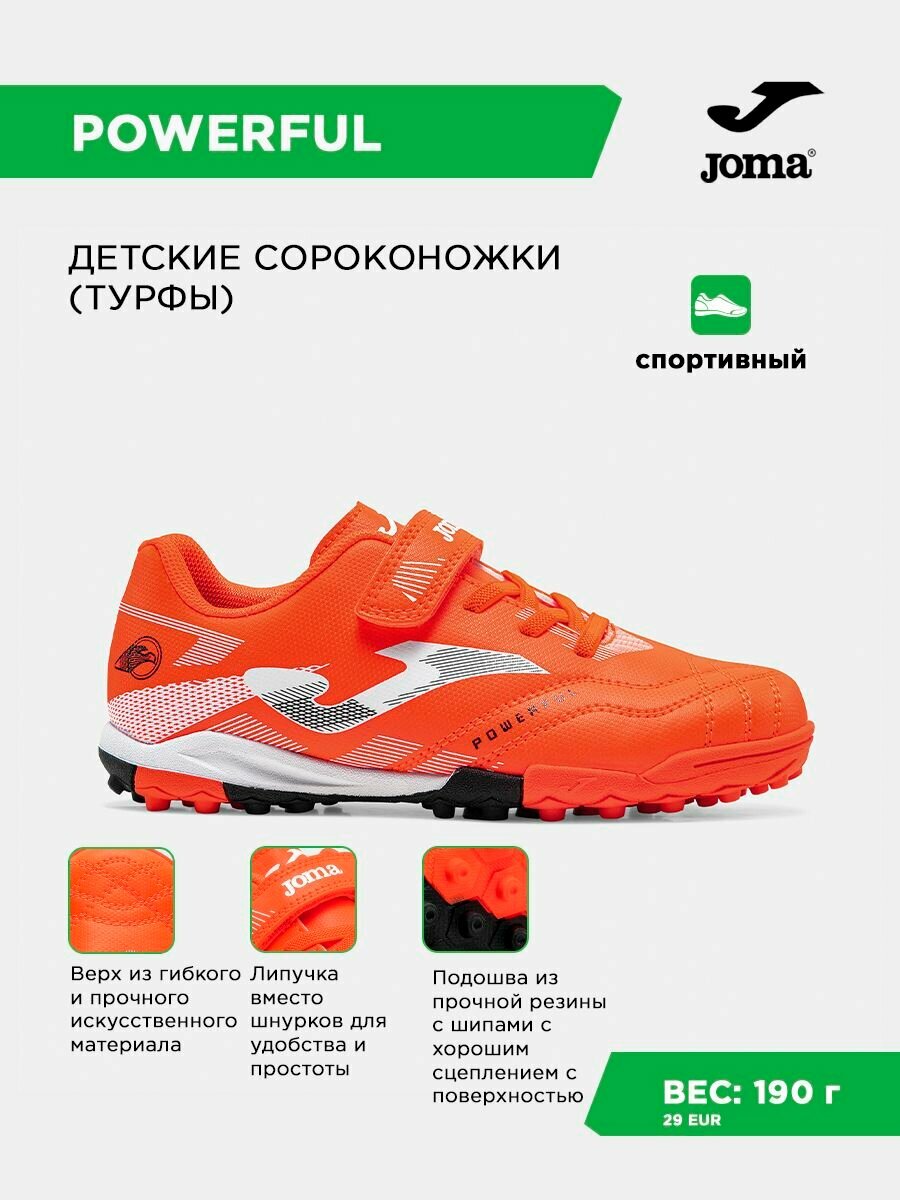 Сороконожки