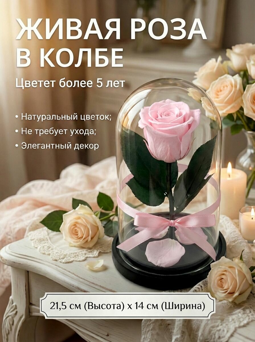 Стабилизированные цветы в стекле, Роза в колбе живая Glamur розовый , GIFT4YOU