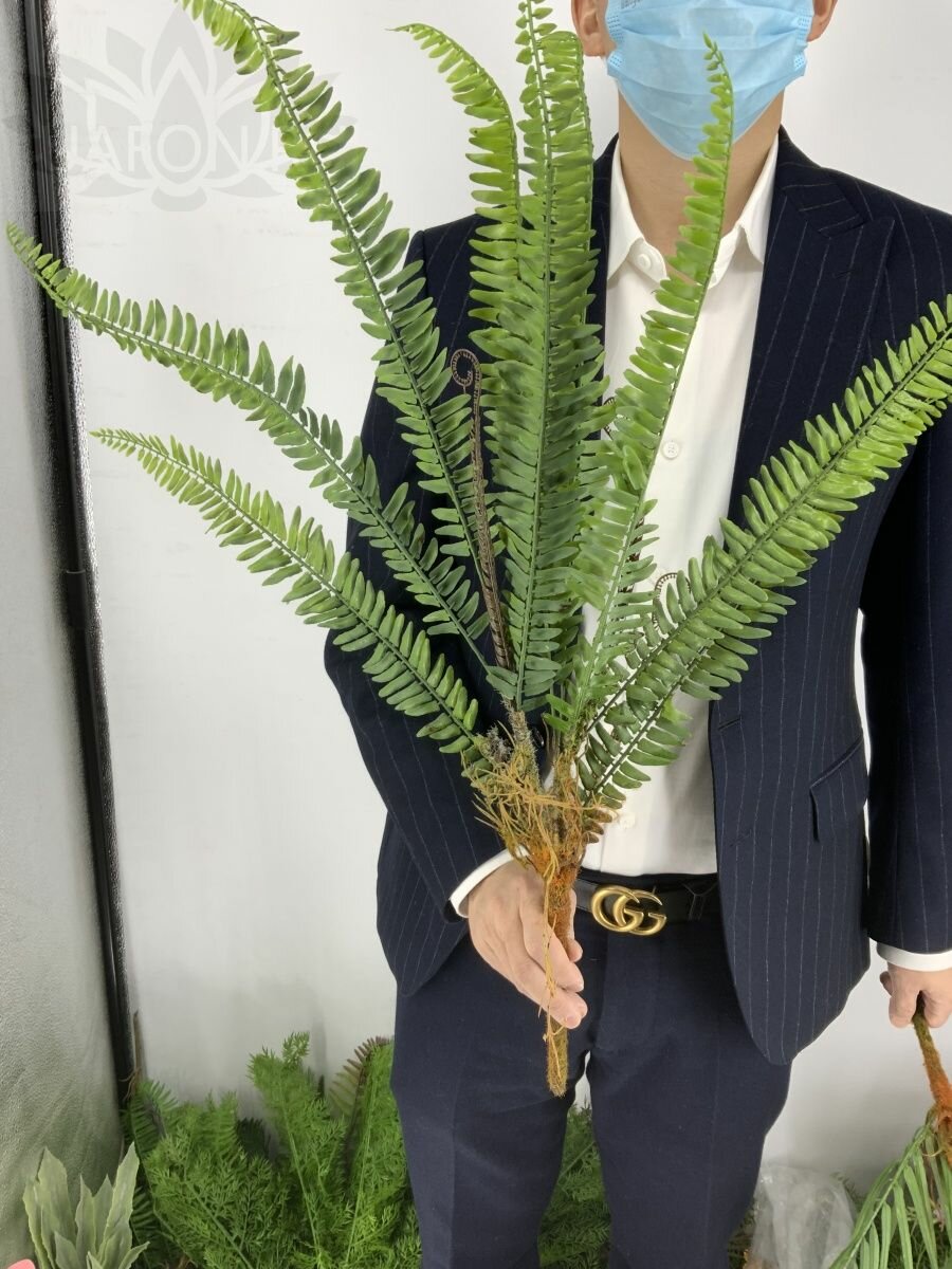 Папоротник искусственный премиум для декора интерьера в кашпо фитостены 77 см