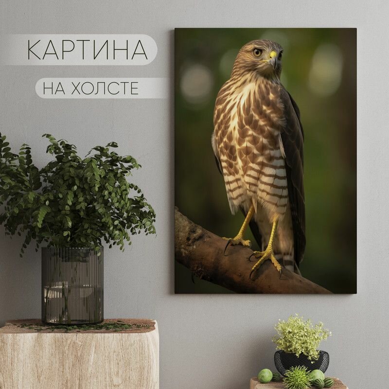 Картина на холсте Птица Сокол (13) 30х40 см