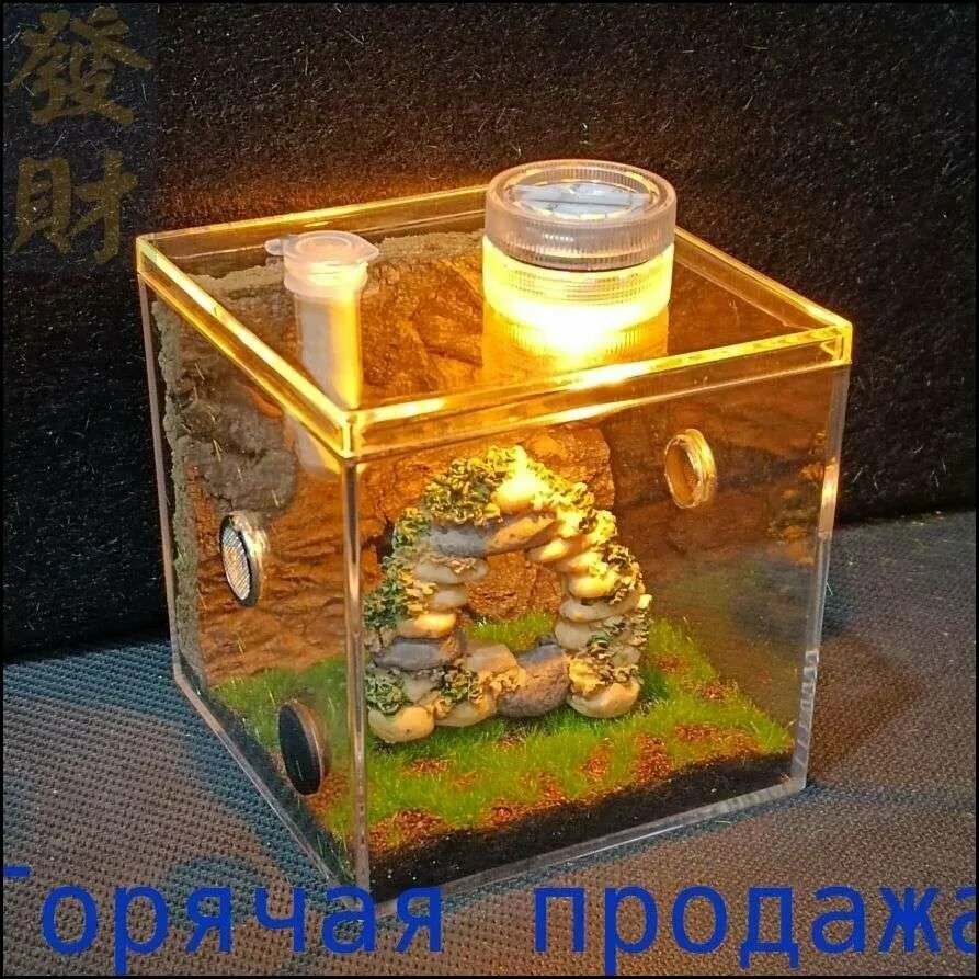 Террариум для пауков с щипцами-капельницами, клетка для улиток, вольер для сверчков, среда обитания древесных тарантулов