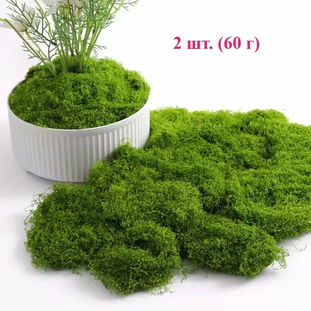 Стабилизированный мох Мох, 2 шт