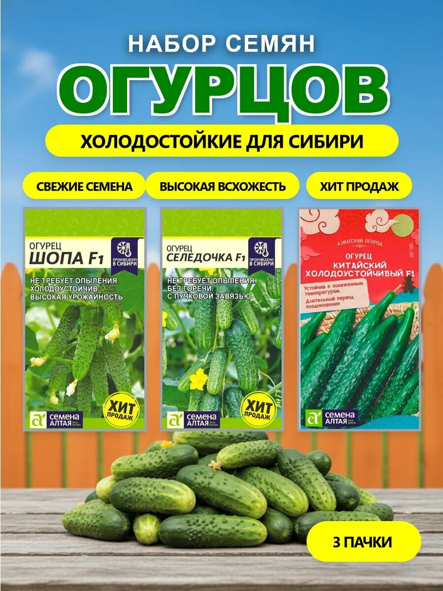 Набор семян огурцов холодостойкие для Сибири, 3 сорта от Семена Алтая