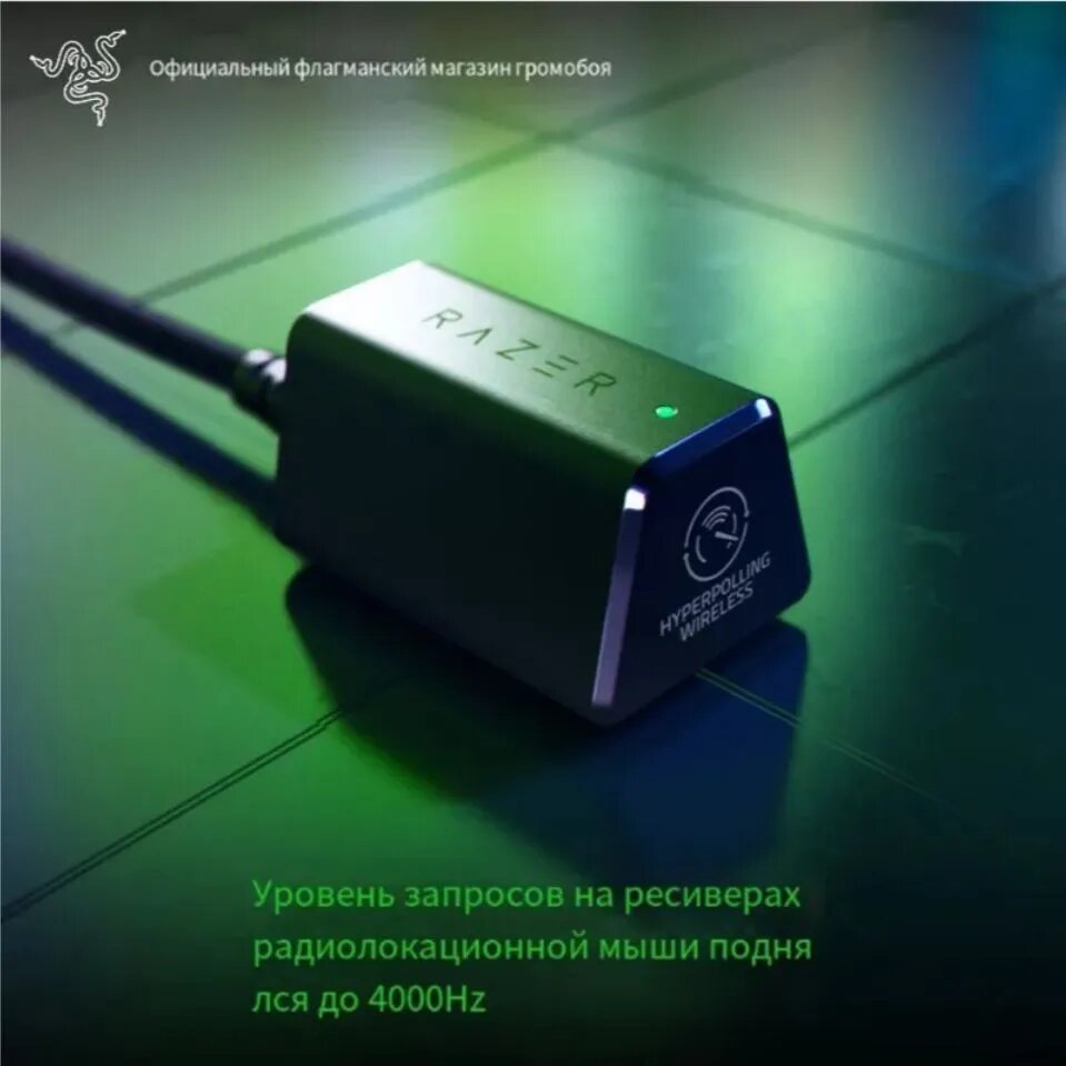 Мышь, черный
