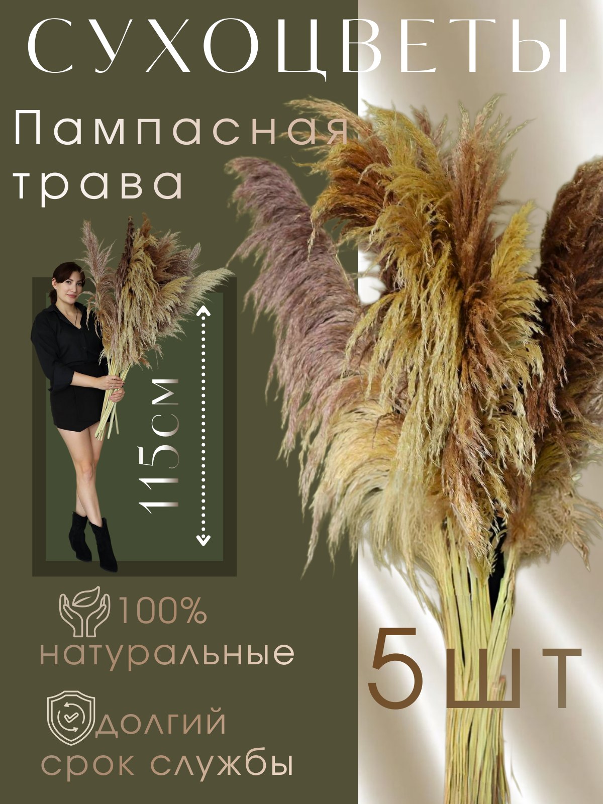 Сухоцветы LampasPampas, 5шт/уп, бежевые, коричневые
