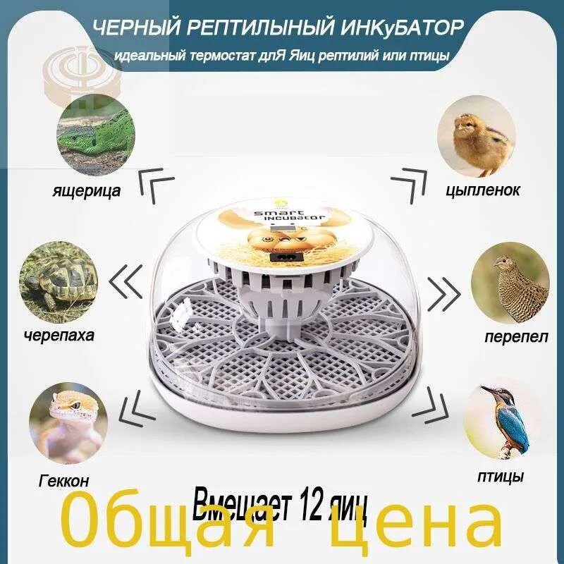 Инкубатор для рептилий. С индикатором влажности, Температуру можно регулировать в диапазоне от 10 до 40; Вмещает 12 яиц