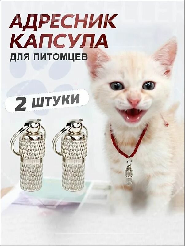 Адресник, для кошек и собак, серебристый, металлический, в виде косточки, 2 шт