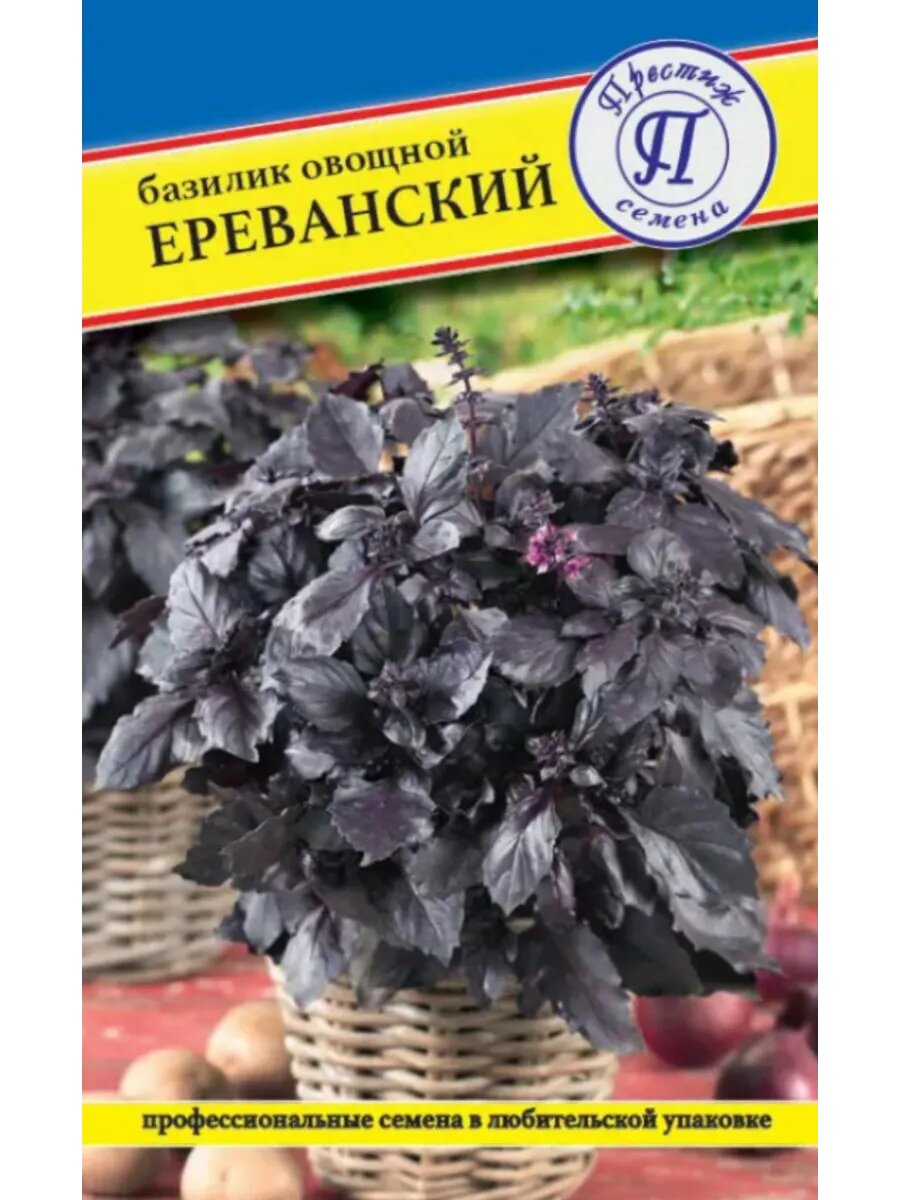 Семена Базилик Ереванский