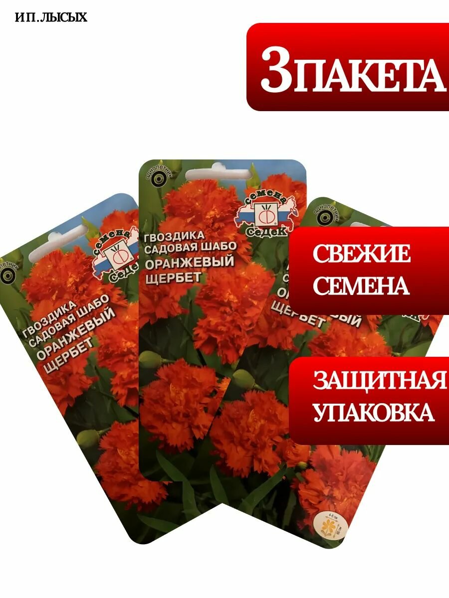 Семена Гвоздика "Оранжевый Щербет"