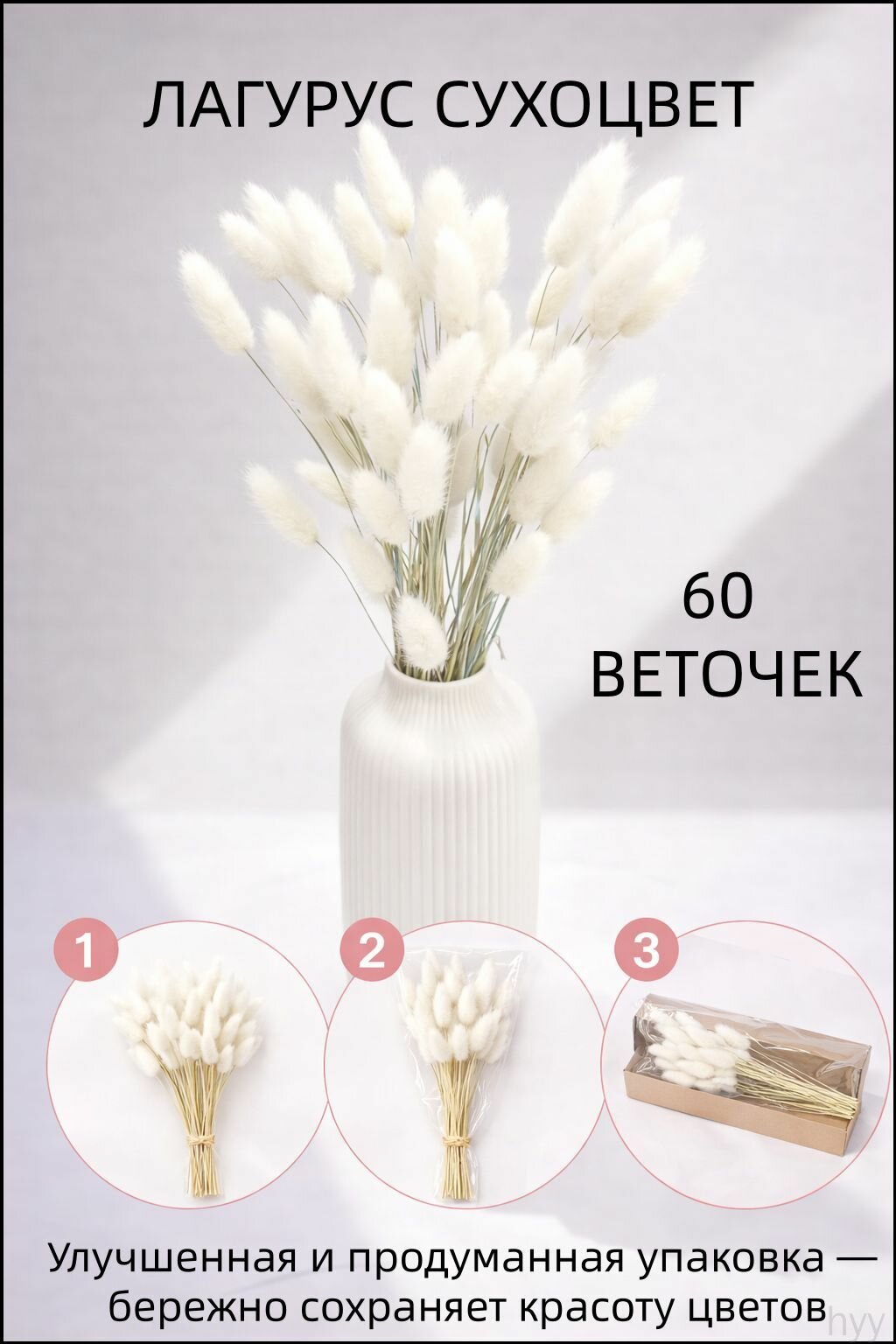 Сухоцветы