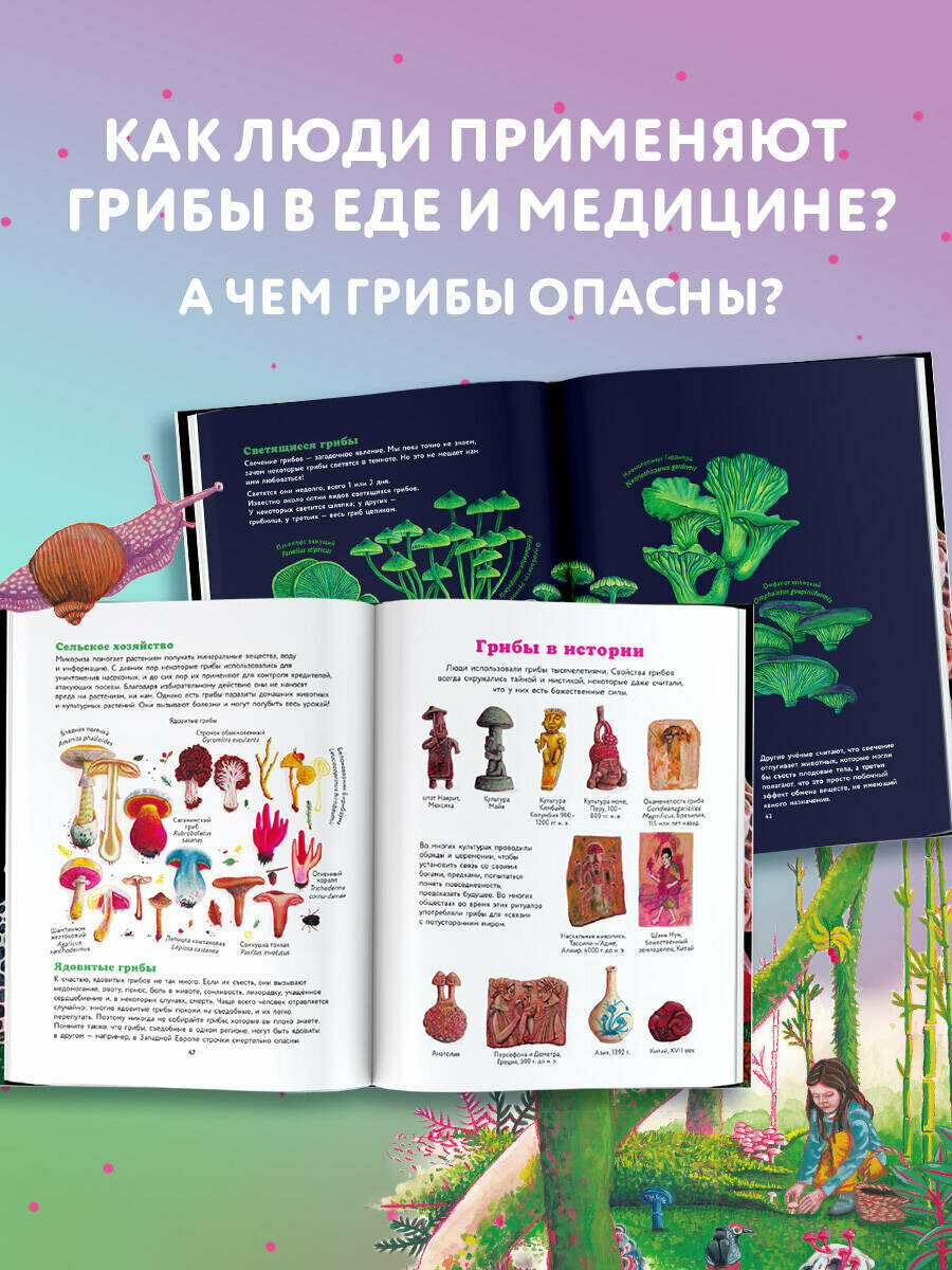 Царство грибов — фото 1