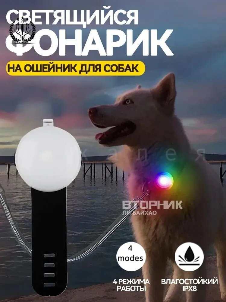 GM Фонарик на ошейник для собак / Светящийся брелок, маячок на ошейник