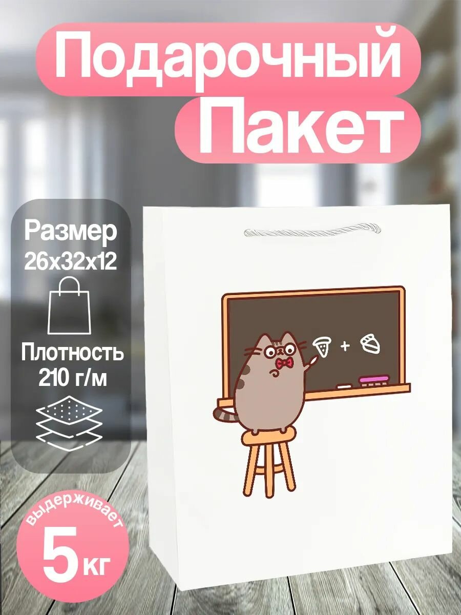Пакет подарочный пушин кот