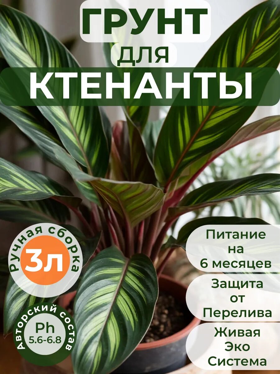 Готовый авторский грунт для Ктенанты премиум 3л