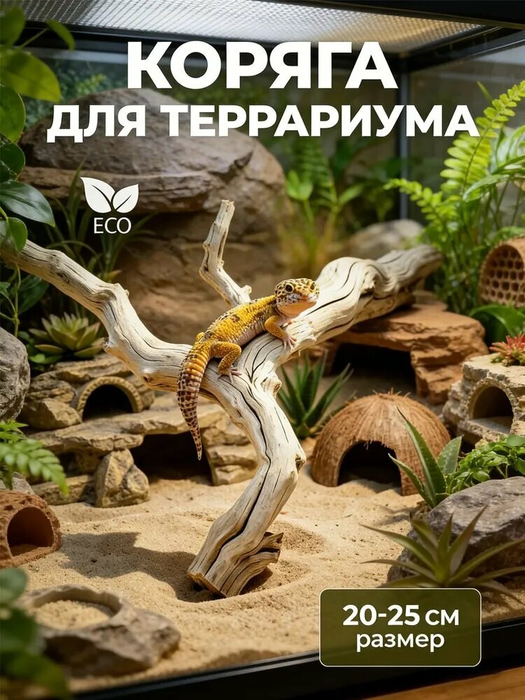 Натуральная коряга для террариума, ветка для лазания и укрытия рептилий, декор для ящериц, змей и хамелеонов
