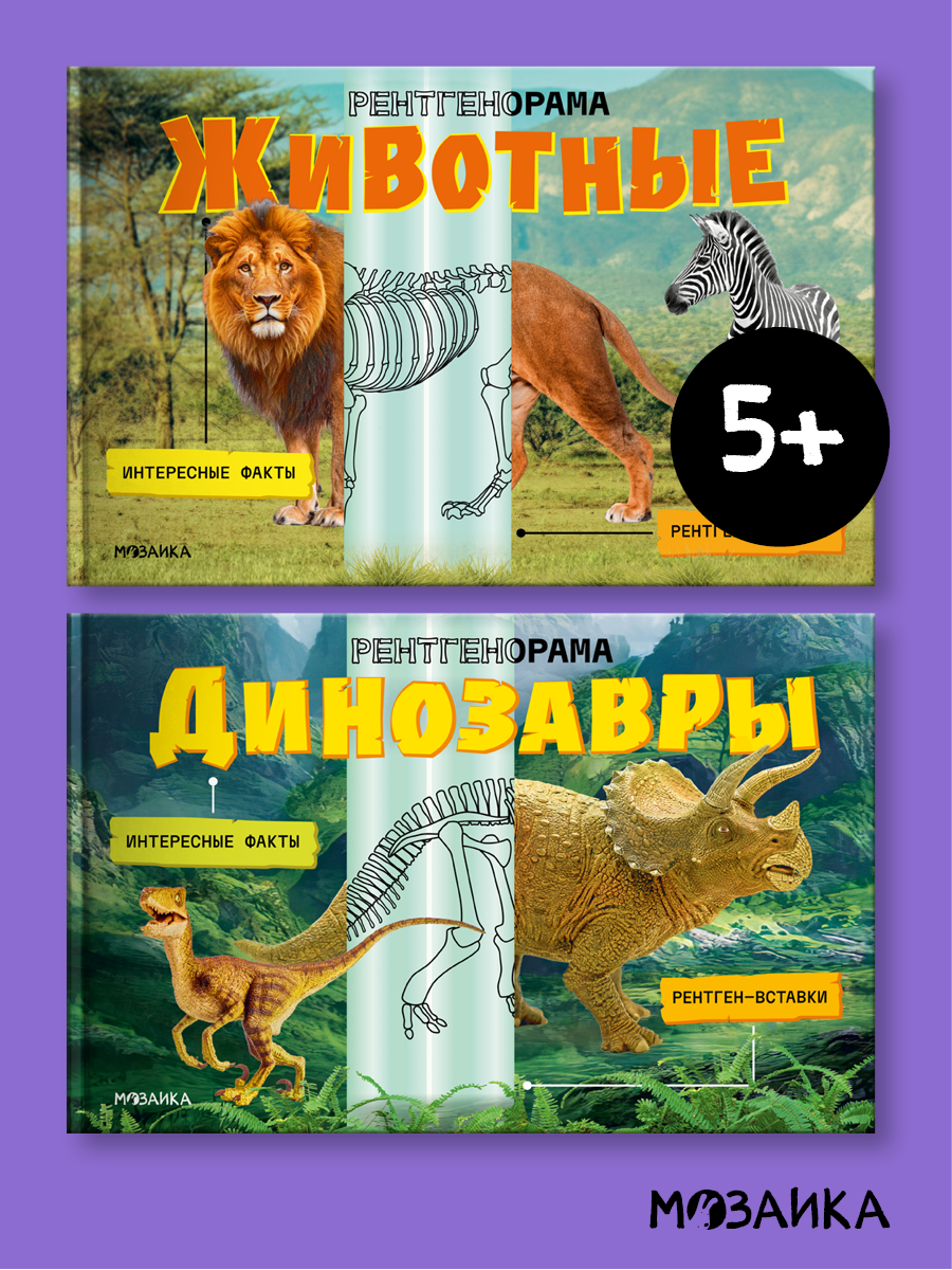 Набор из 2 интерактивных книг мозаика kids для детей, Рентгенорама, Умная книжка сканер, рентген вставки
