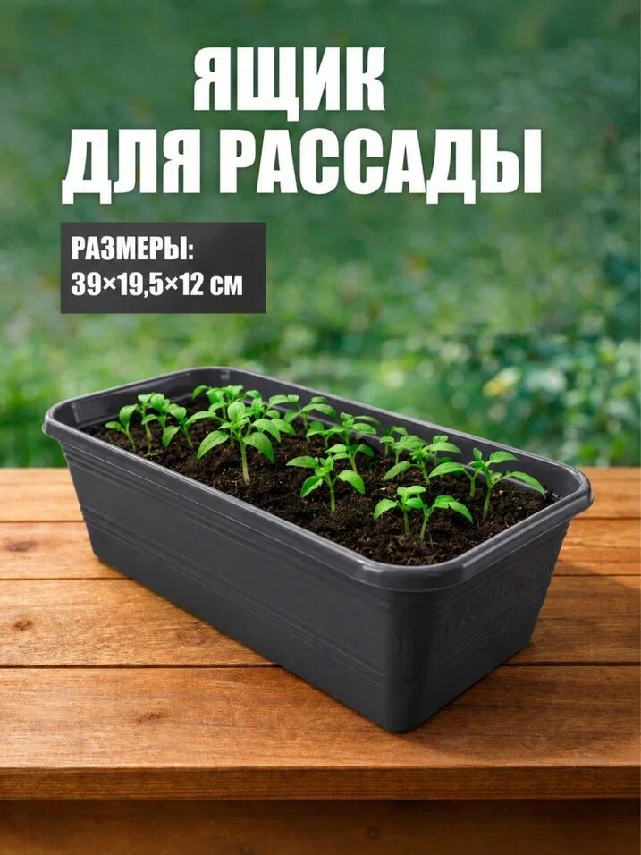 Ящик для рассады без поддона 390*195*120 графитовый, декор, 1 шт.