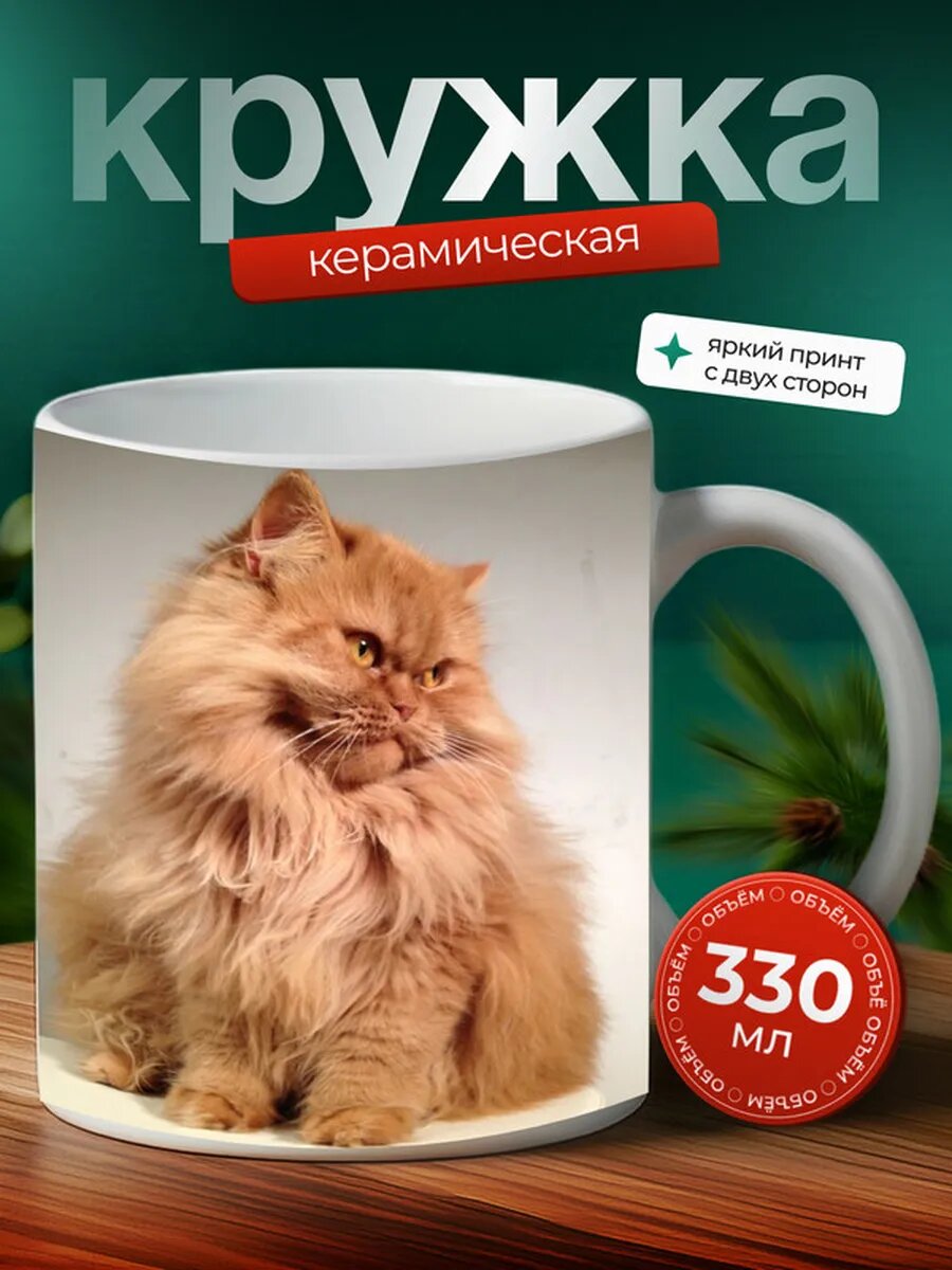 Кружка Иранский персидский кот 16,