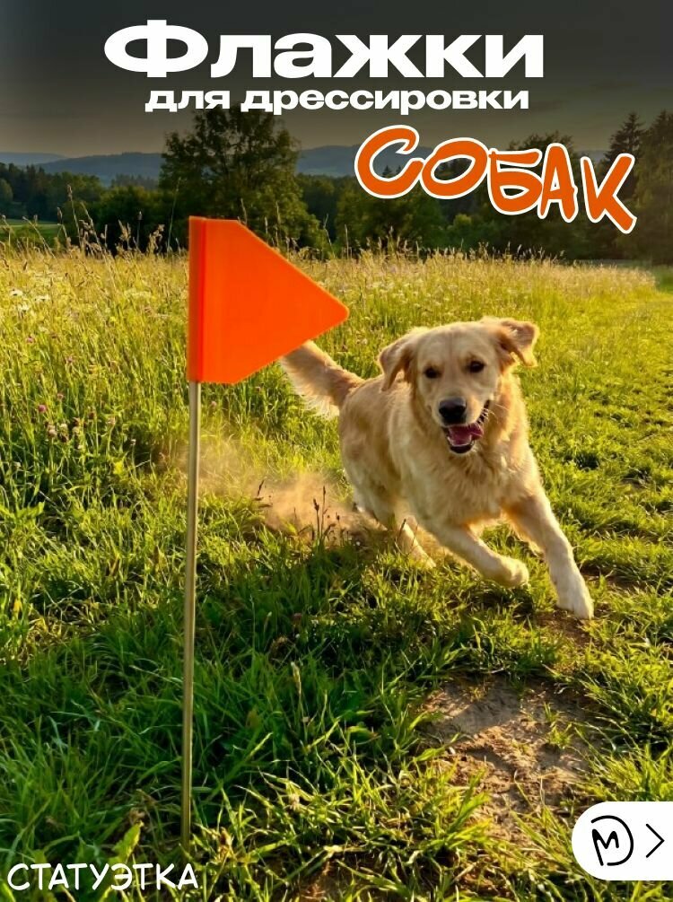 Флажки для дрессировки собак - следовые предметы