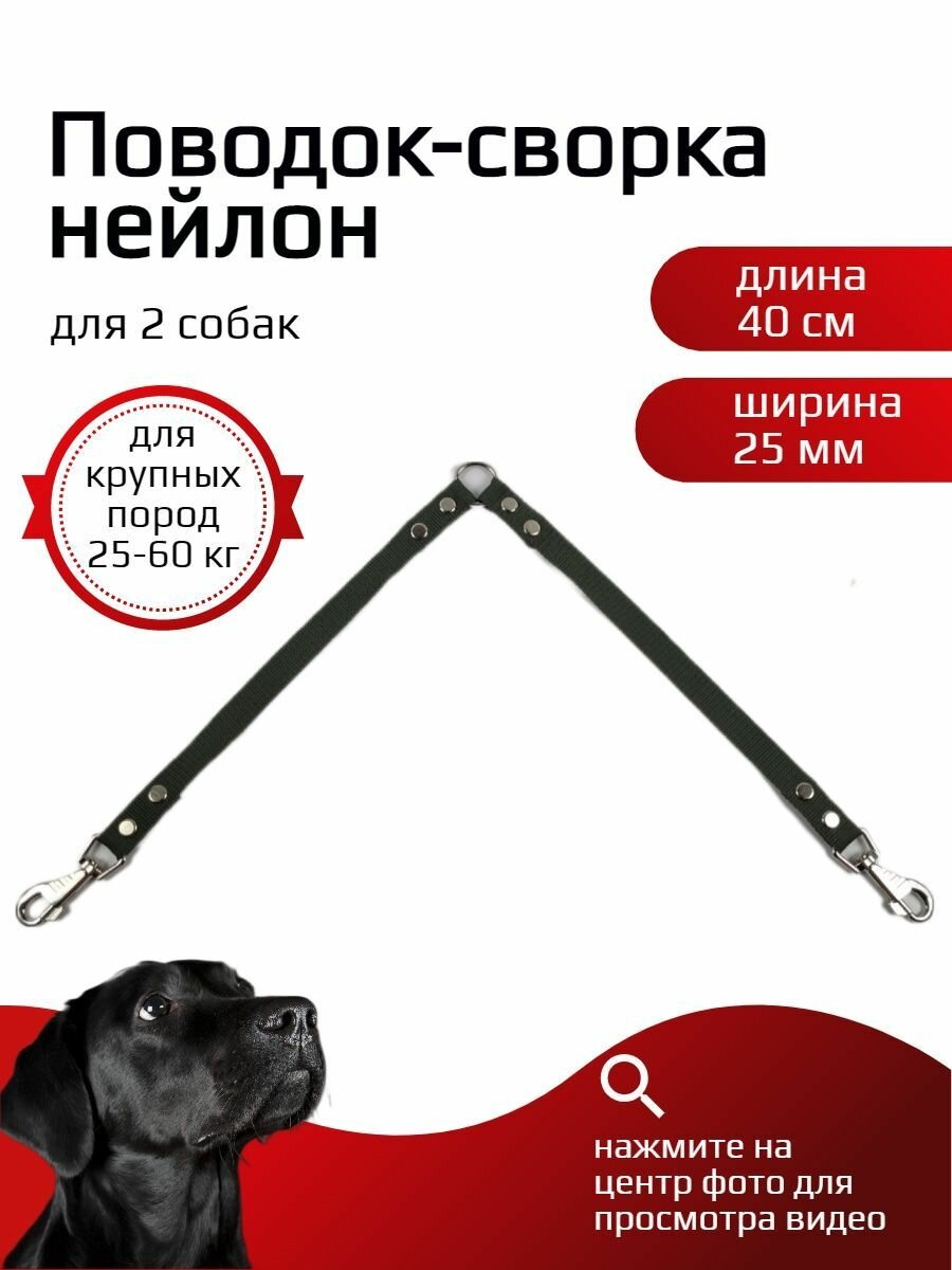 Поводок-сворка Хвостатыч для двух собак нейлон 40 см х 25 мм (зеленый)