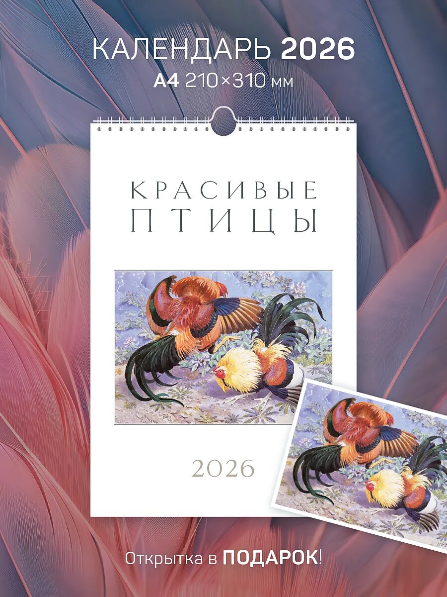 Календарь А4 "Красивые птицы", 2026 год, настенный, перекидной