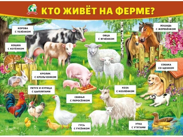 Плакат Кто живет на ферме 070.965 0+ А2 издательство Мир поздравлений