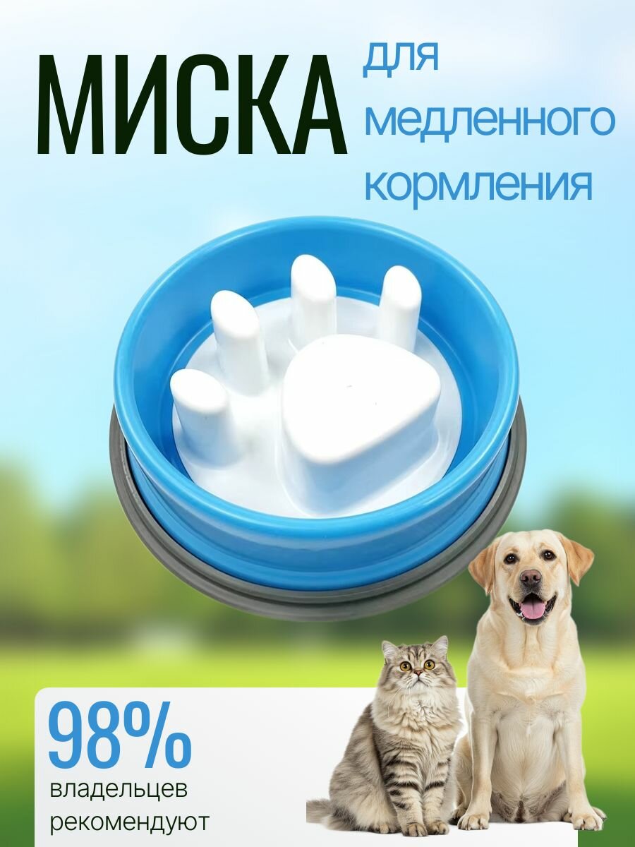 Миска для медленного кормления домашних животных синяя