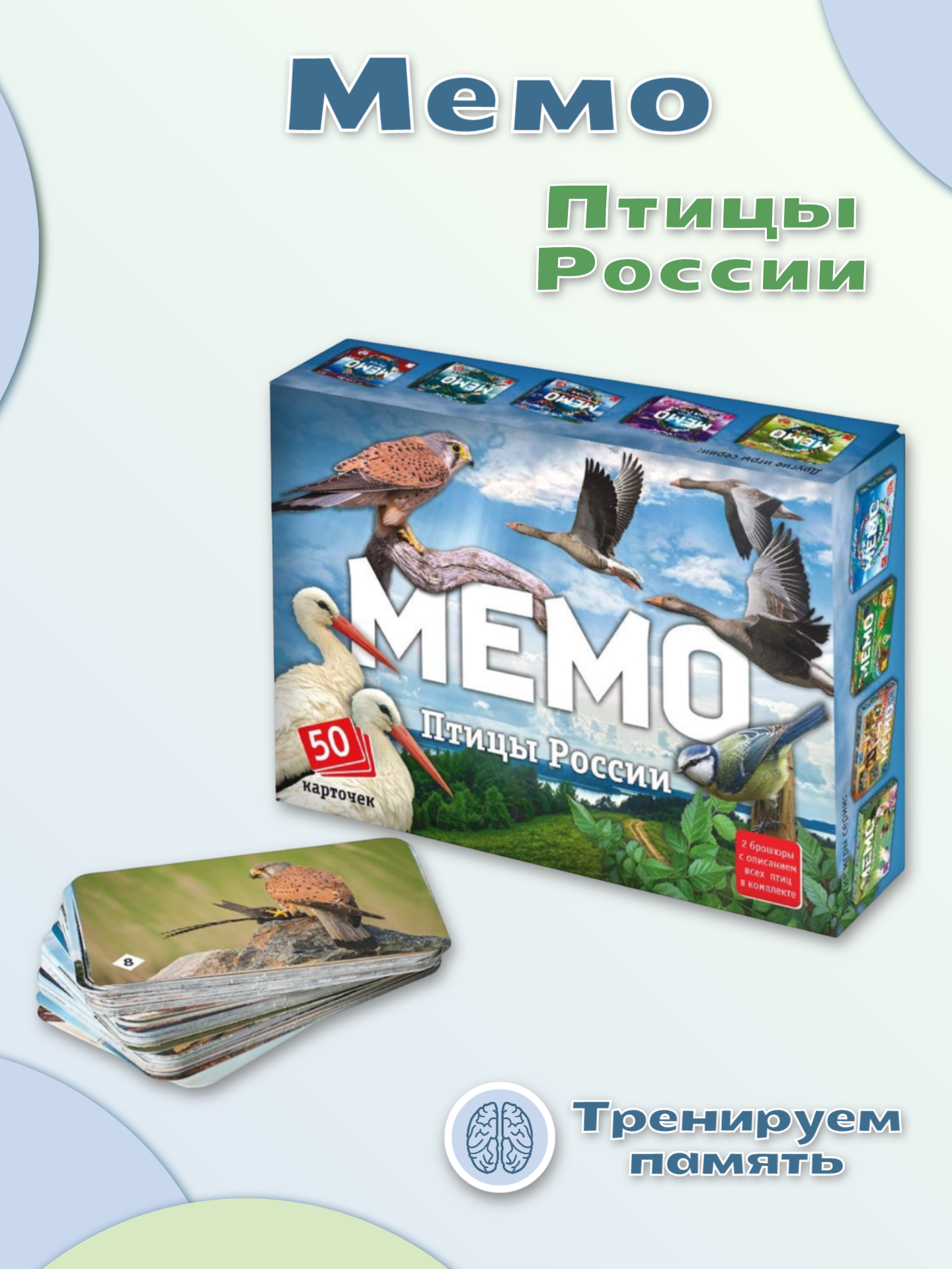 Настольная мемори игра "Птицы России", мемо на развитие памяти, развивающий игровой набор найди пару, 50 карточек