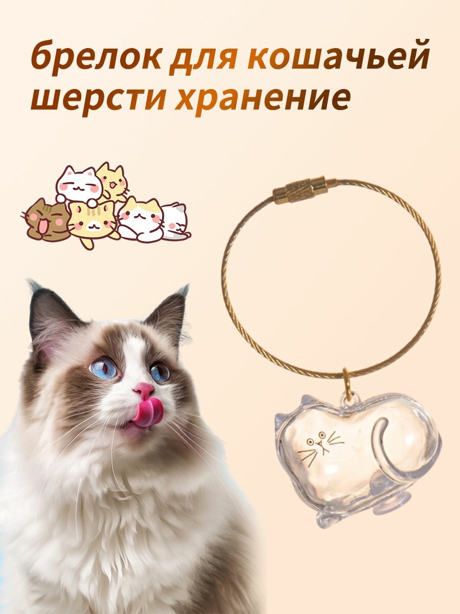 Прозрачный памятный кулон-капсула из кошачьей шерсти, милый, в форме кошки, подарок для любителей кошек