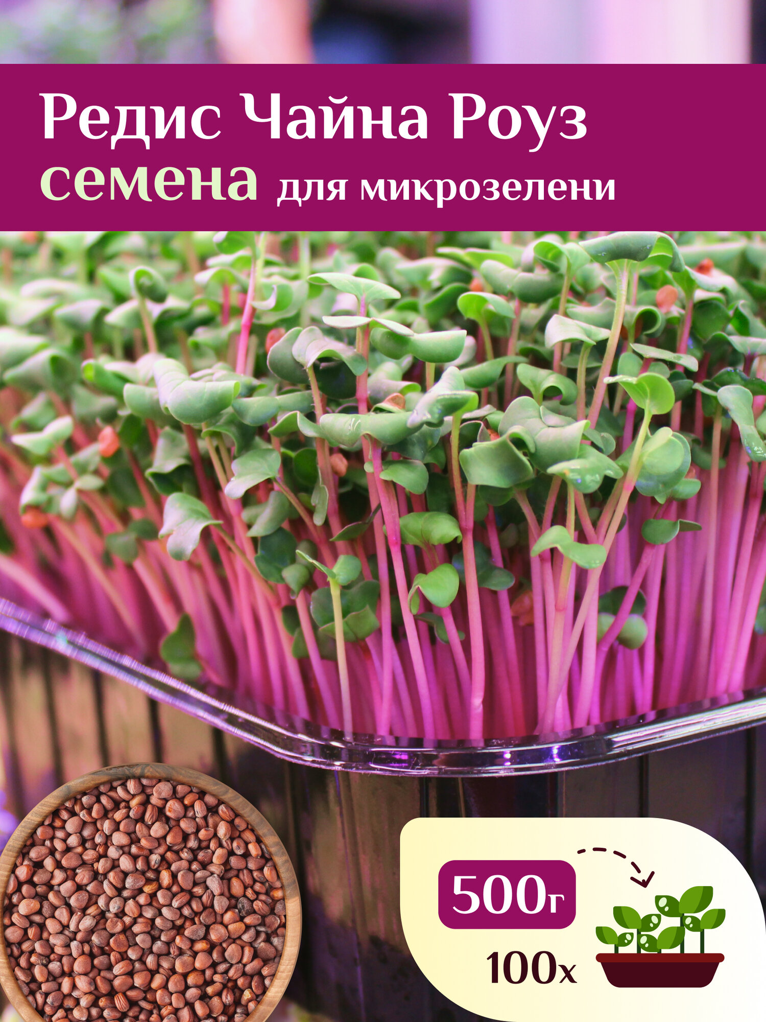 Редис Чайна Роуз семена для проращивания, Ильинские проростки 500г