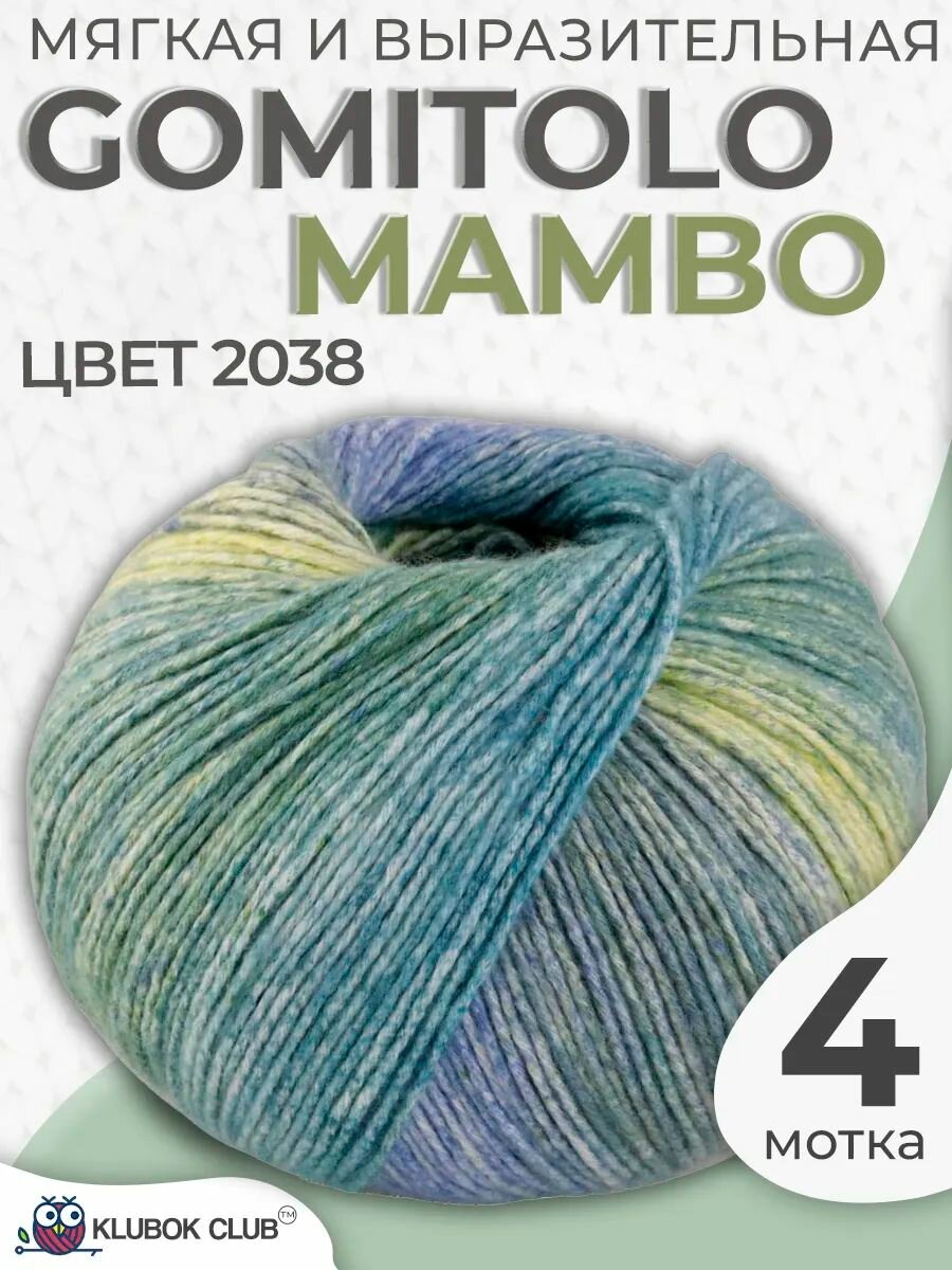 Пряжа для вязания Lana Grossa Gomitolo Mambo секционный принт, цвет 2038, 4 мотка