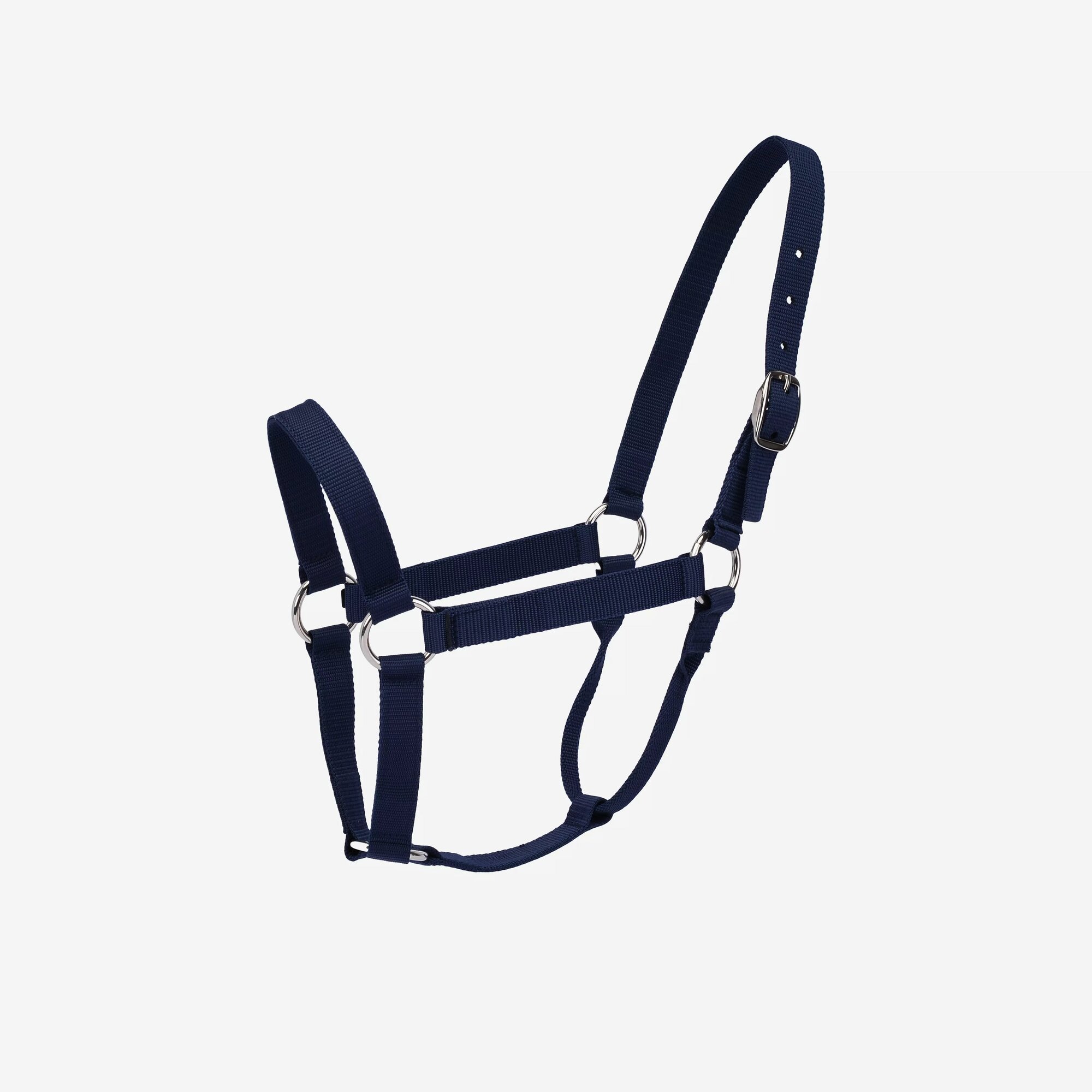 Недоуздок для лошади темно-синий DEWAY100, размер L