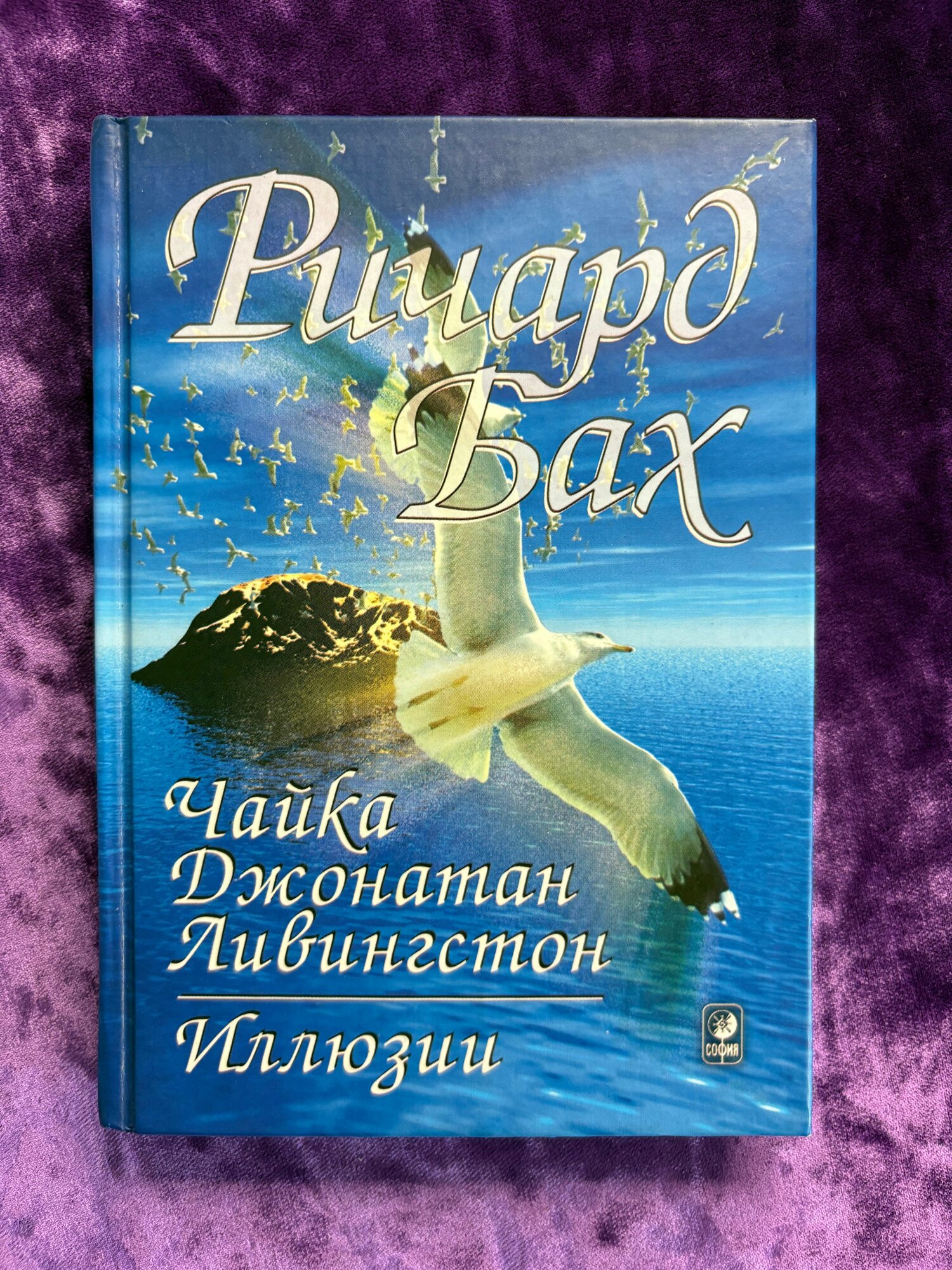 Чайка Джонатан Ливингстон. Иллюзии