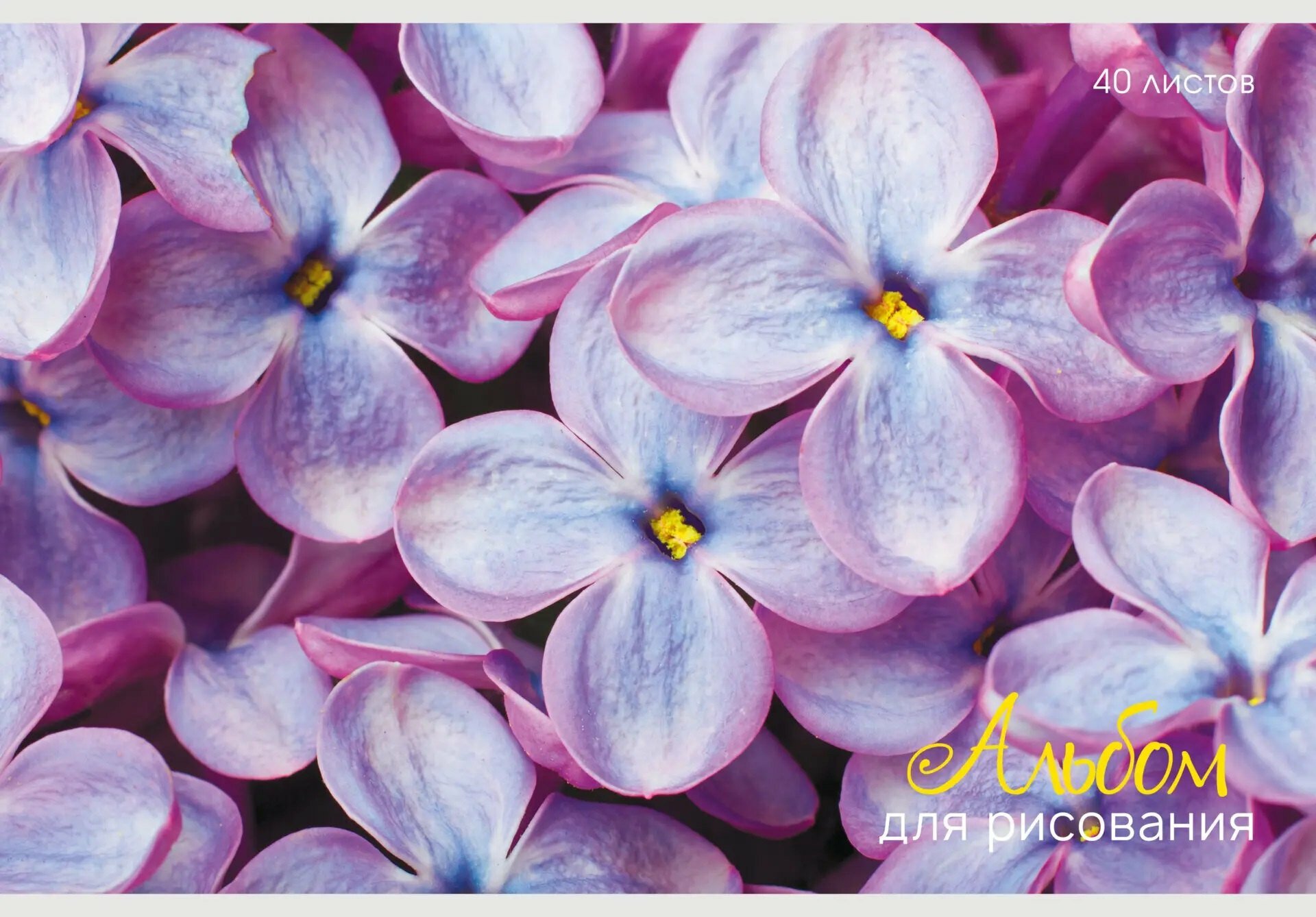 Альбом для рисования Listoff, "Сирень", А4, 40 листов, на скрепке