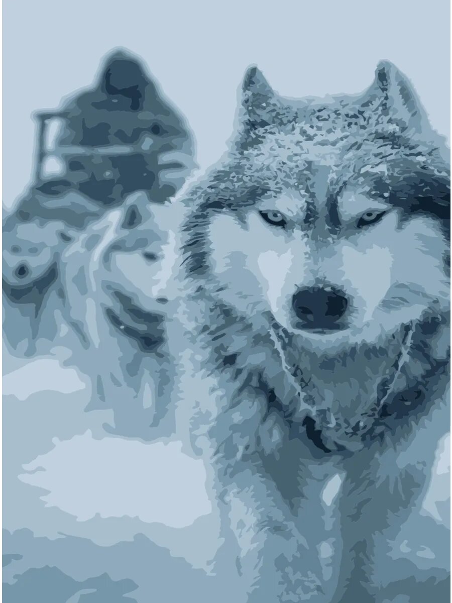 Картина по номерам 30x40 см хаски