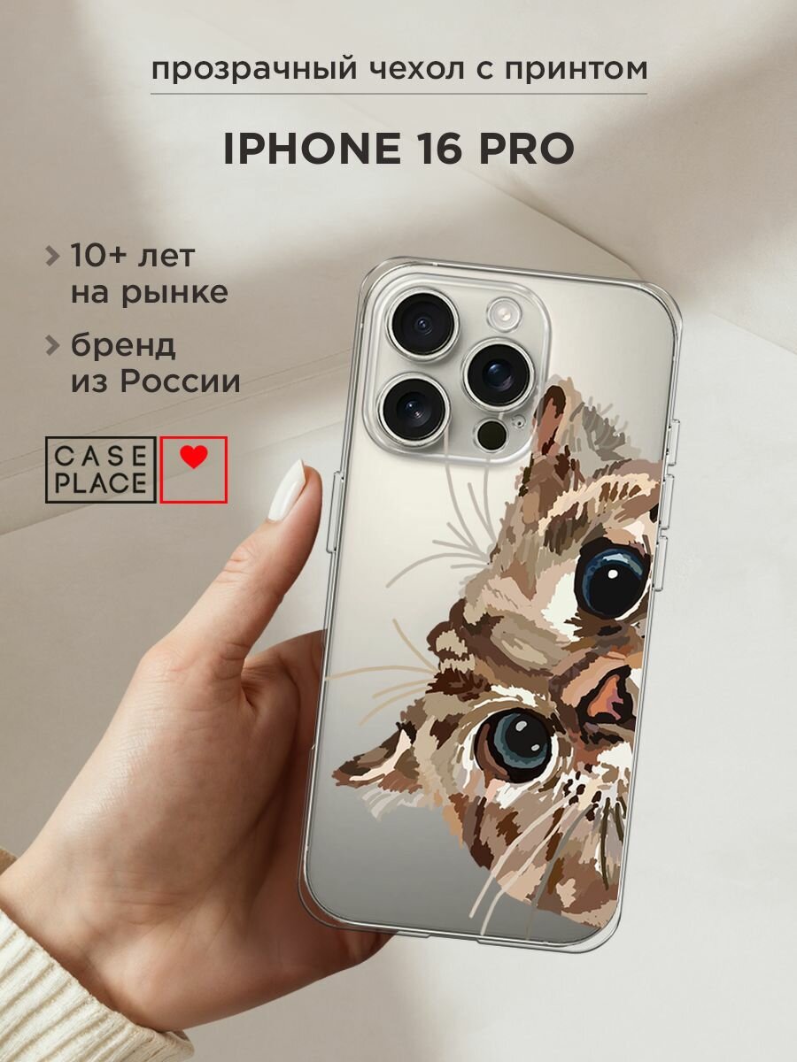 Чехол на Apple iPhone 16 Pro / Айфон 16 Про с принтом "Любопытный кот", прозрачный