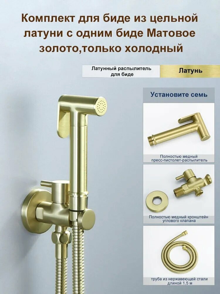 Лейка гигиеническая для биде (кран для холодной воды) RO5501BG1 лейка, 1.5M шланг, кран Матовое золото, латунь, Круглый LIN