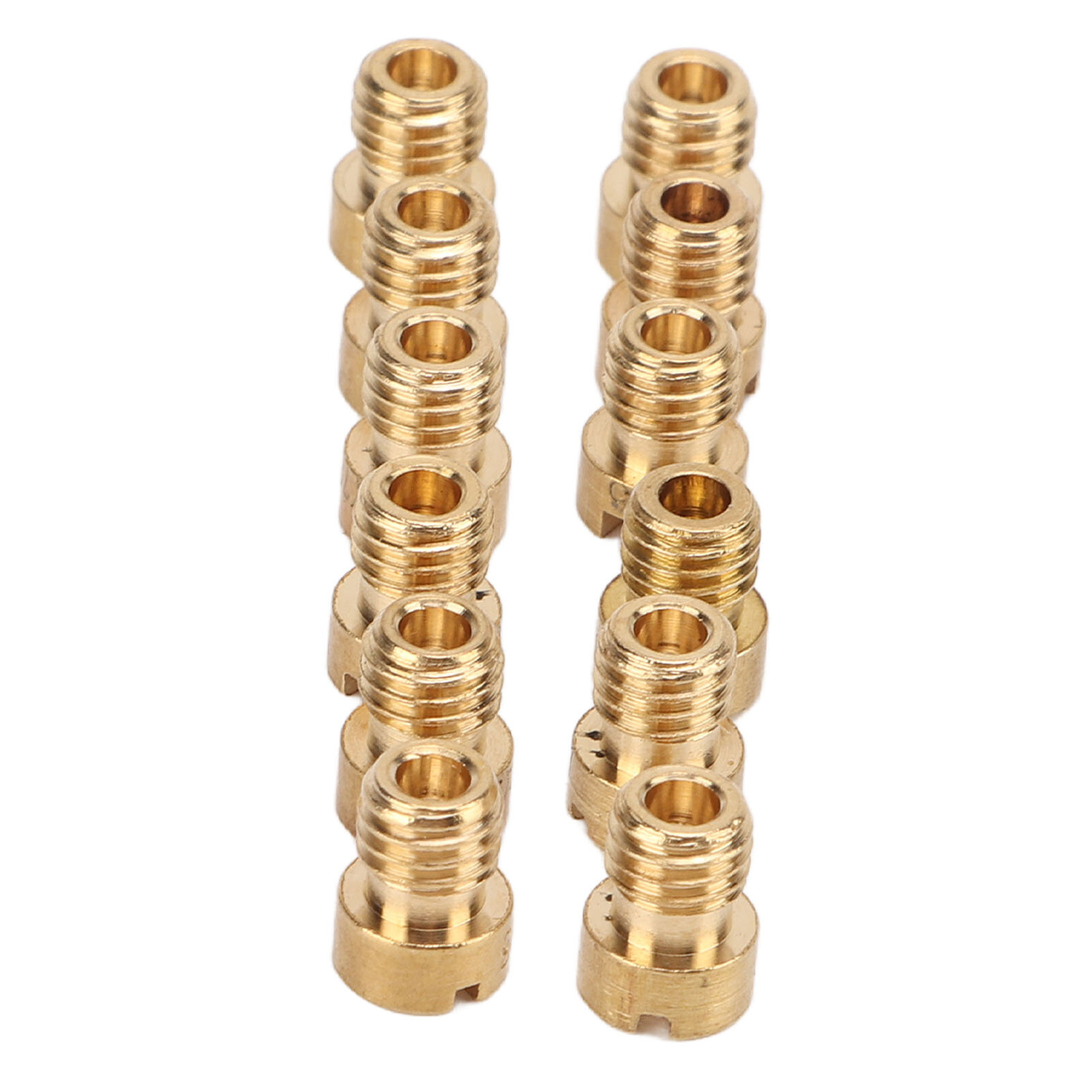 12 шт, комплект главных форсунок карбюратора 75‑102, замена для Dellorto PHBG AD DS