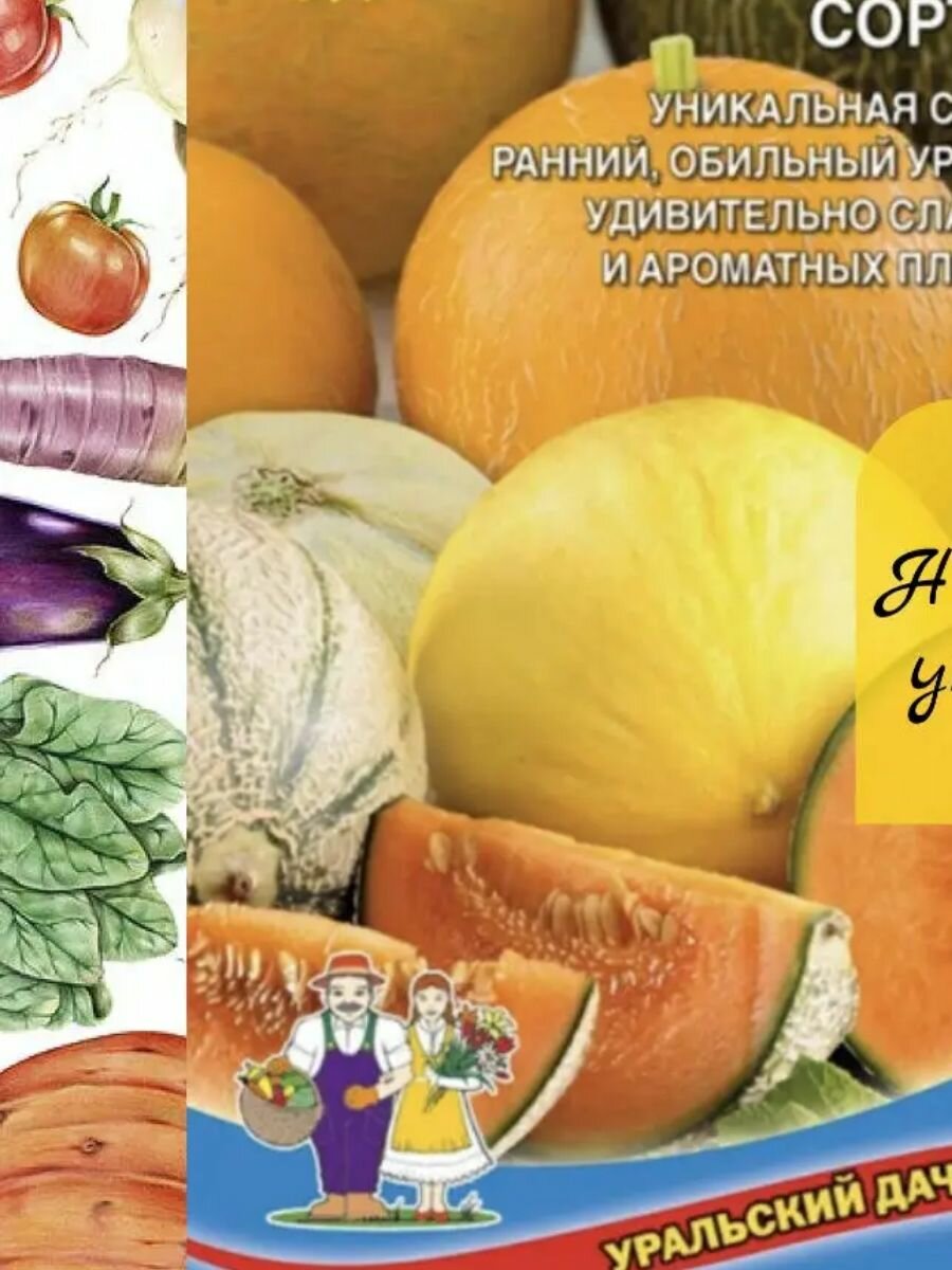 Семена Дыня Смесь суперраних сортов Уральский дачник
