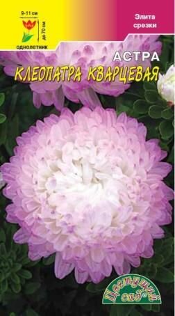 Семена Астра Клеопатра Кварцевая Цветущий сад