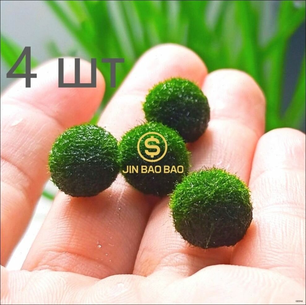 Милые шарики маримо, 4 шт.