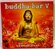 Компакт-диск (CD) David Visan. Buddha-Bar V.
